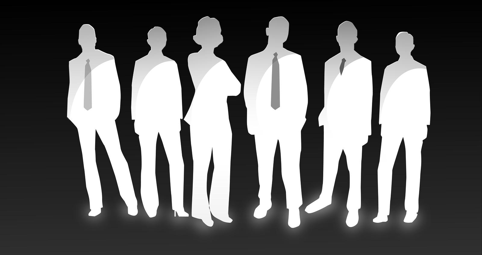 What Should an SAP BPC Implementation Team Look Like?