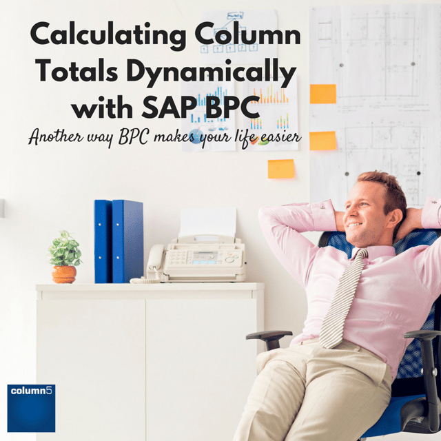 Calculating Column Totals Dynamically - SAP BPC