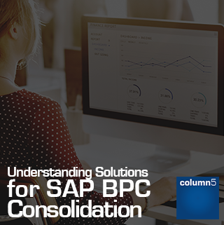 Understanding Solutions for SAP BPC Consolidations