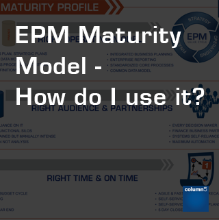 EPM Maturity Model - How do I use it?