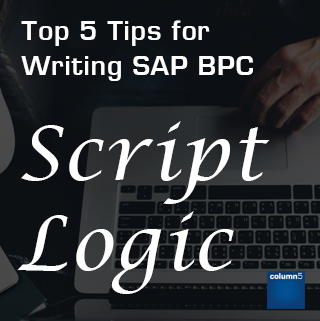 Top 5 Tips for Writing SAP BPC Script Logic